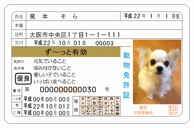 Yusuke Japan Blog: Each Japanese driver’s license has a color which you ...